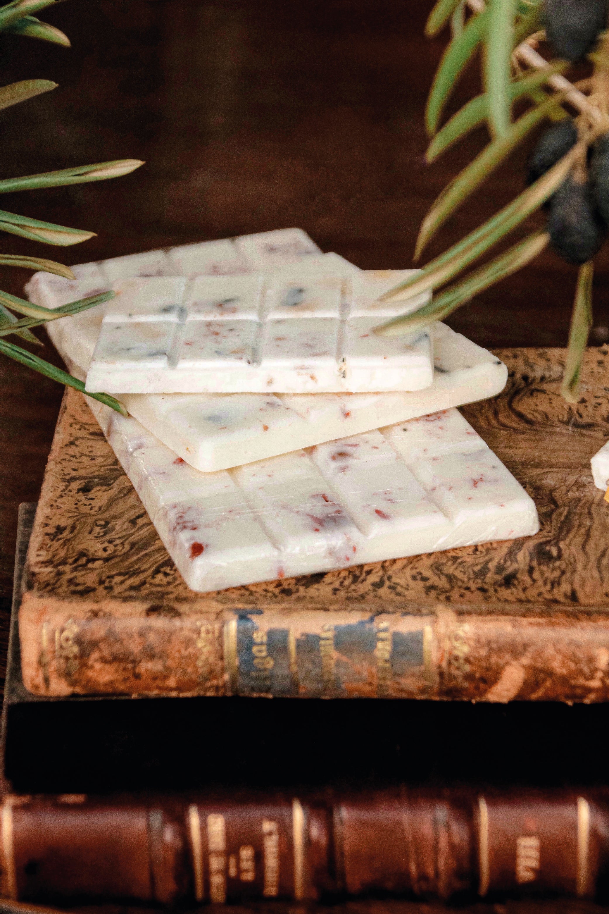 Botanic Wax Tablet – Griza Concept Store